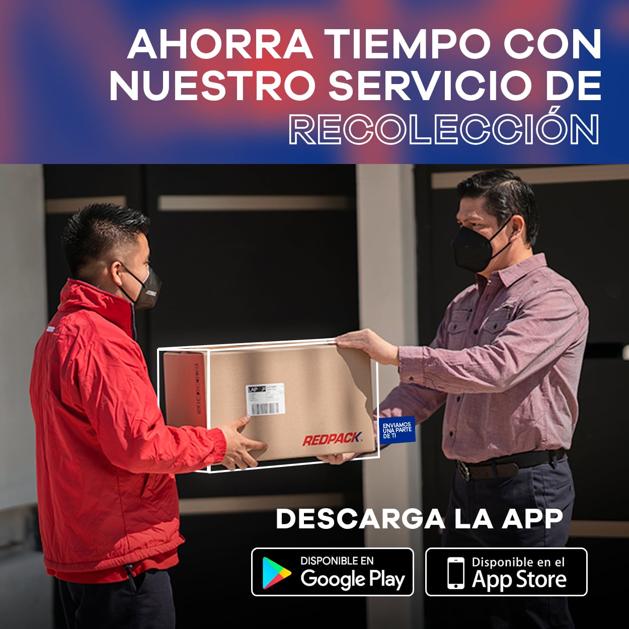 Redpack – Envíos de mensajería y paquetería nacional e internacional